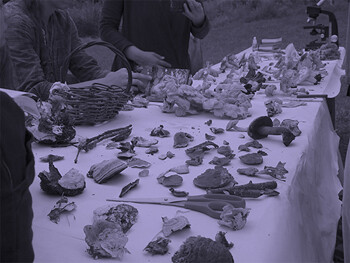 “Open Engagement 2014: Life/Work” - e-flux Education