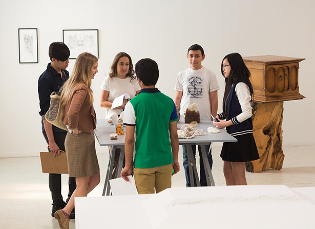 Call to artists and curators for curatorial proposals - e-flux Education