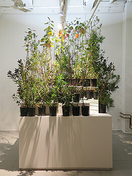 Final call for applications - e-flux Education