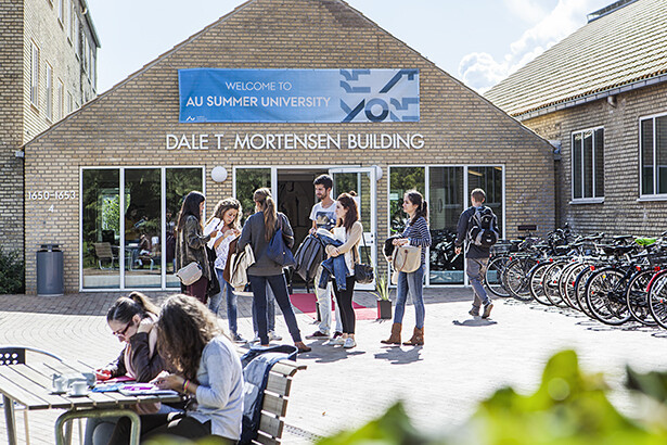 AU Summer University - e-flux Education