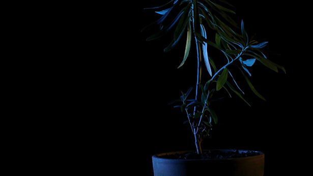 Imagine the Present - e-flux Education