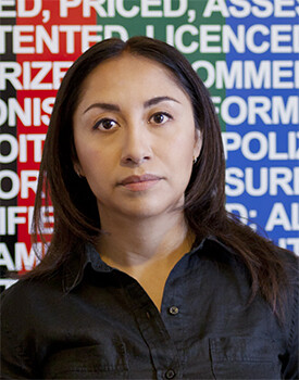 Distinguished Visiting Professor: Minerva Cuevas - e-flux Education