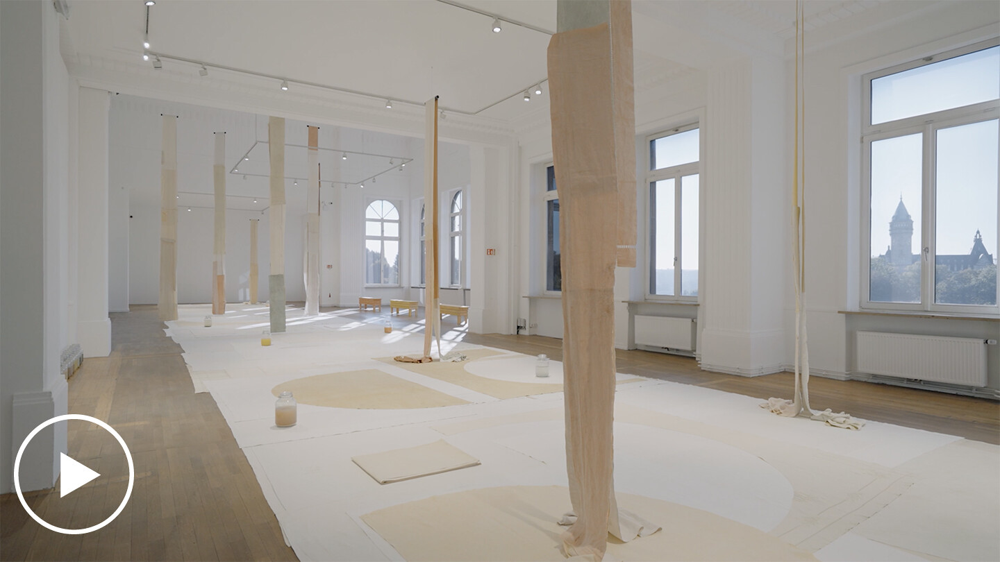 Adrien Vescovi: Jours de lenteur - Announcements - e-flux