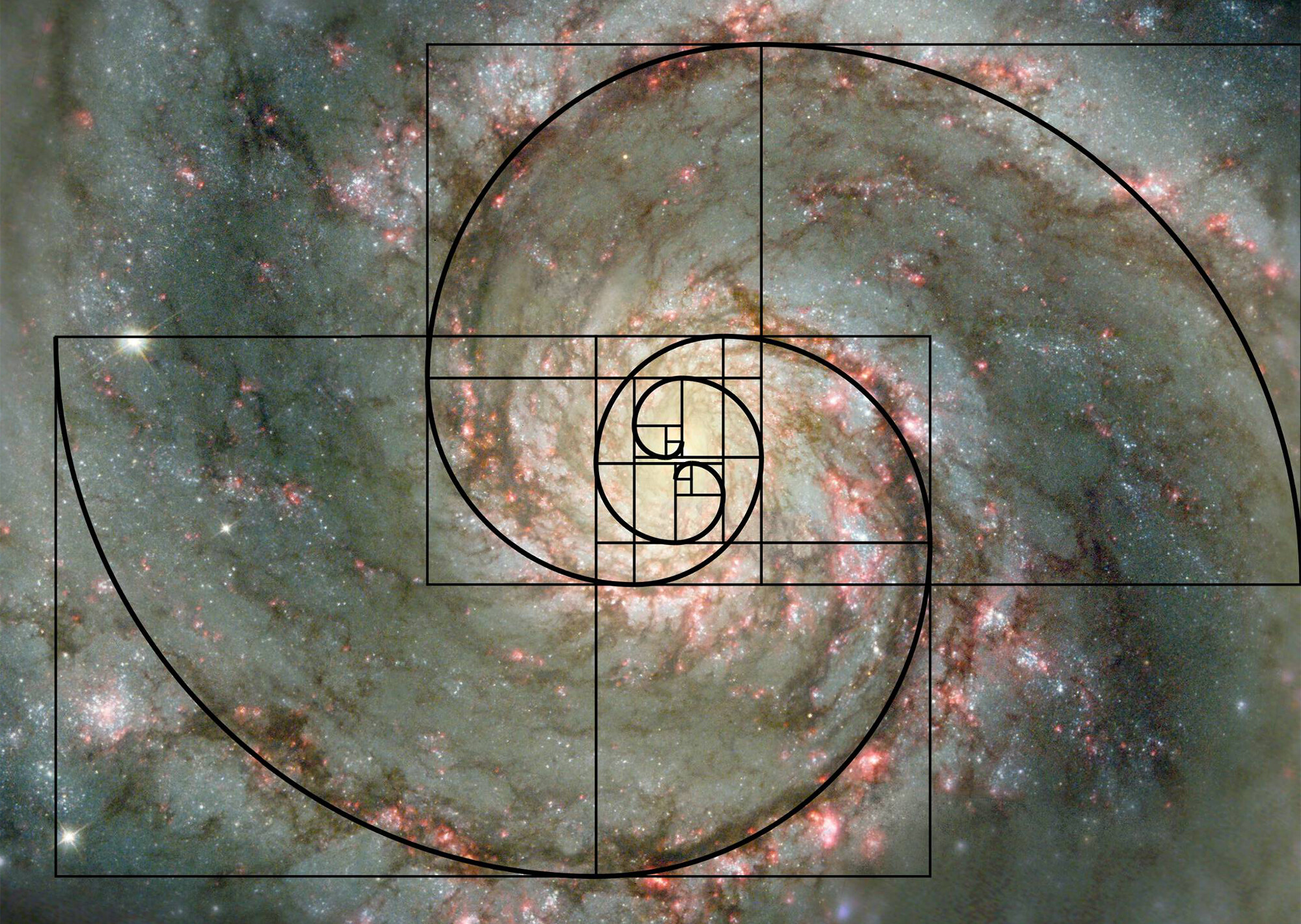 No You’re Not - Architecture - e-flux