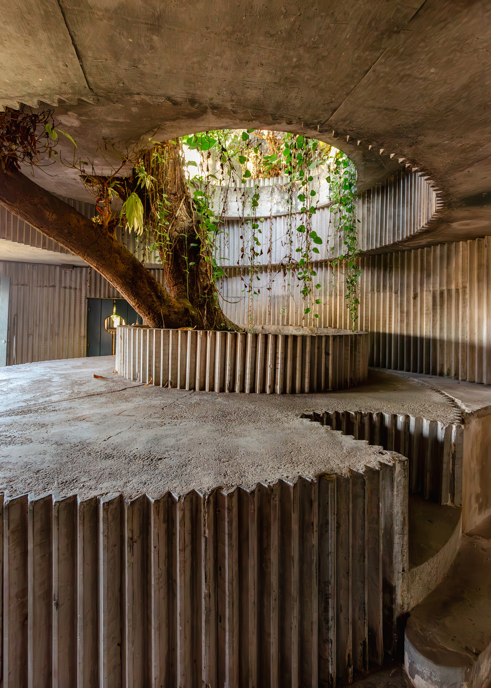 Roberto Conrado E Familia