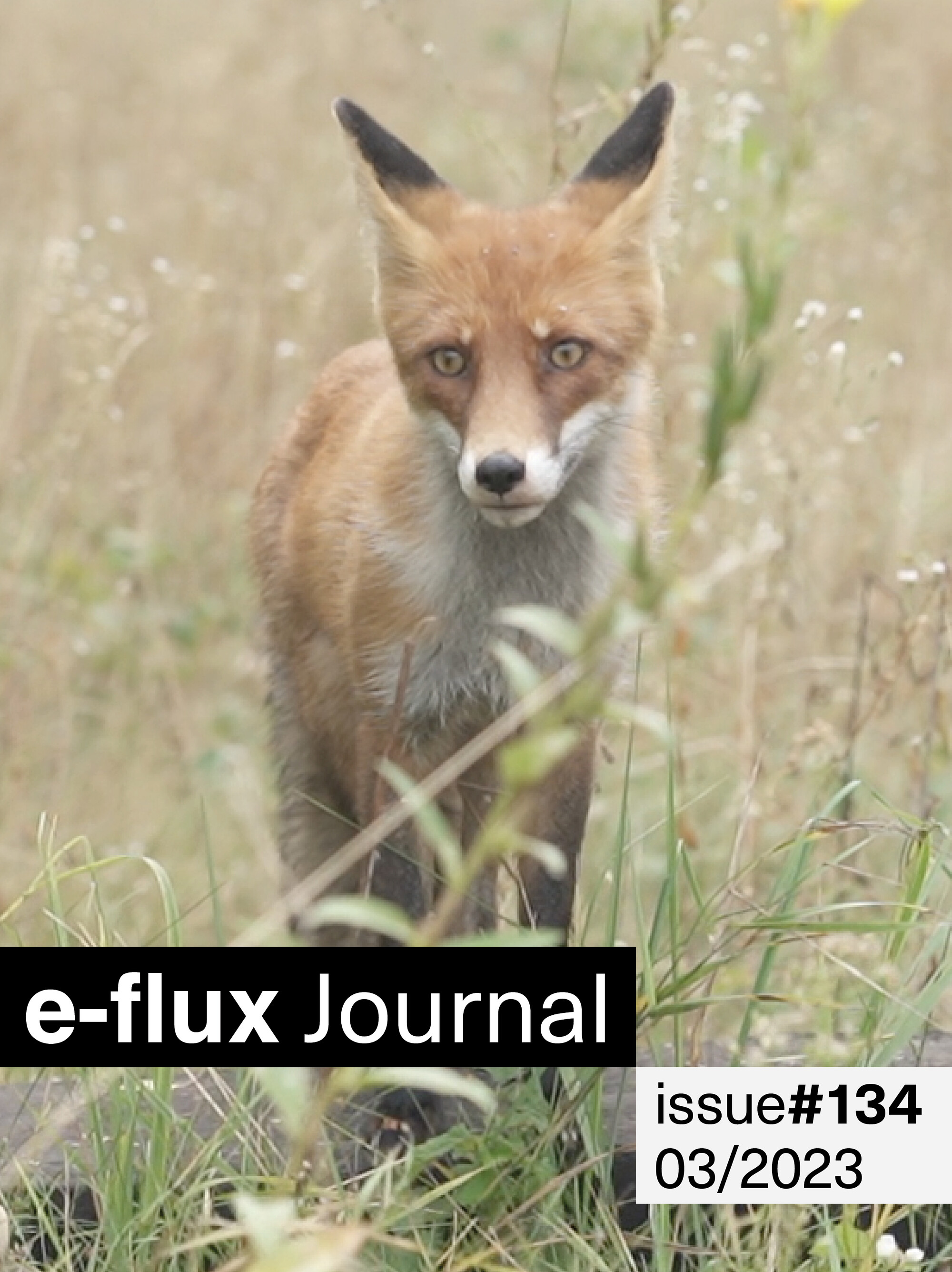 e-flux Journal #134 March 2023 - e-flux