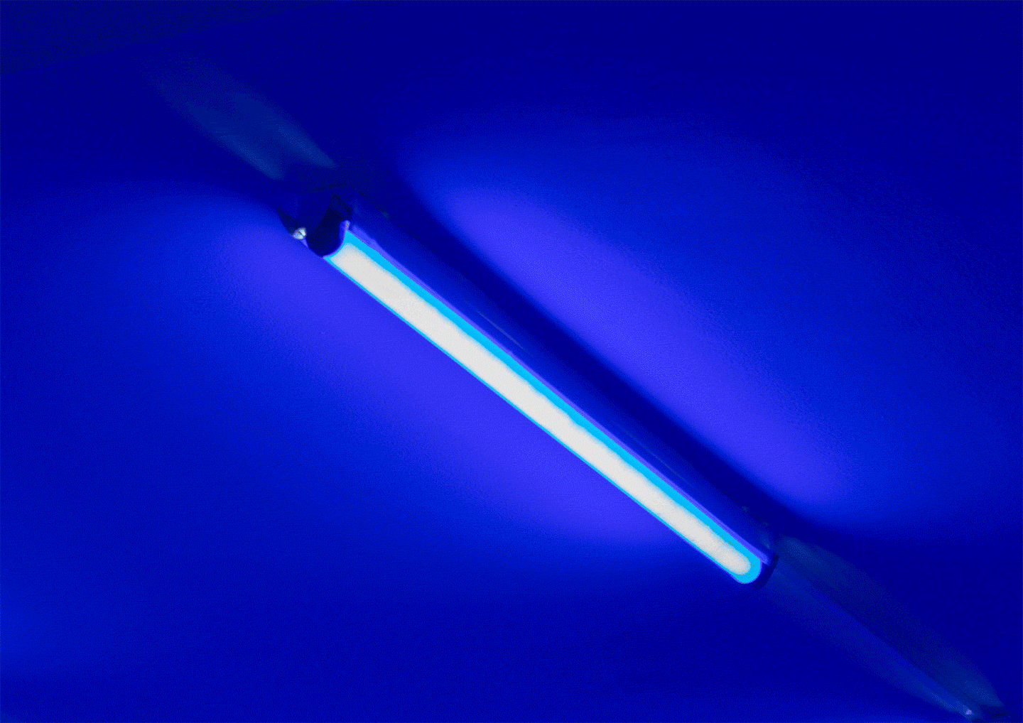 Program 2025 - e-flux Agenda