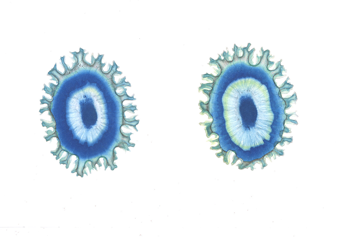 The Corruption of the Eye: On Photogenesis and Self-Growing Images ...